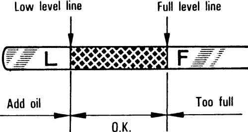 How to check the fluids - Ipoh Forklift Solution